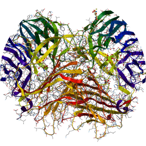 Cellular & Molecular Biosciences – Gateway to Biomedical Discovery at ...